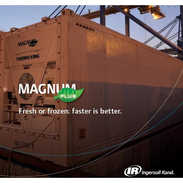 20' Reefer Container with Dual temperature Thermoking Unit