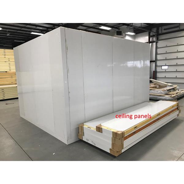 9'10" x 11'6" x 8'H Walk-in Freezer with Floor (G) (113 Sq. Ft.) | Barr ...