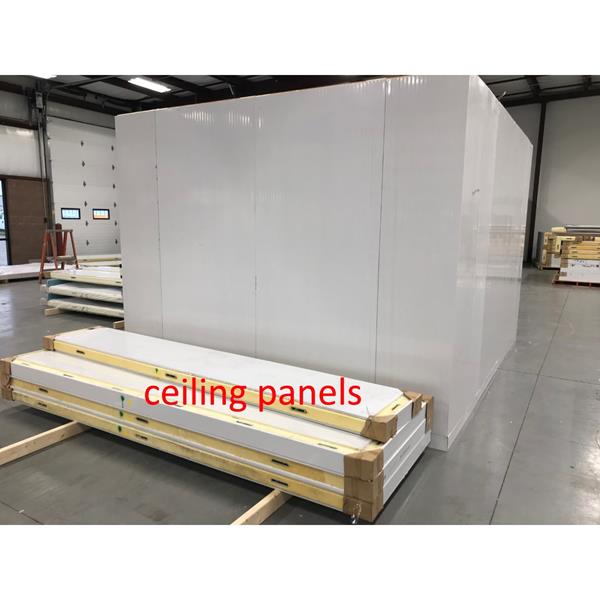 9'10" x 11'6" x 8'H Walk-in Freezer with Floor (ACQ) (113 Sq. Ft ...