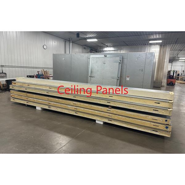 20' x 20'2" x 8'9"H Norlake Walk-in Freezer with Floor (403 Sq. Ft ...